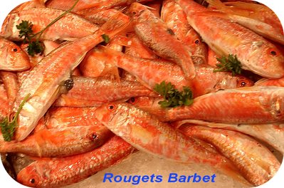 Dictionnaire de Cuisine et Gastronomie - Rouget